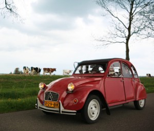 Lelijke eenden kopen - Chateau Deux Chevaux Beesd